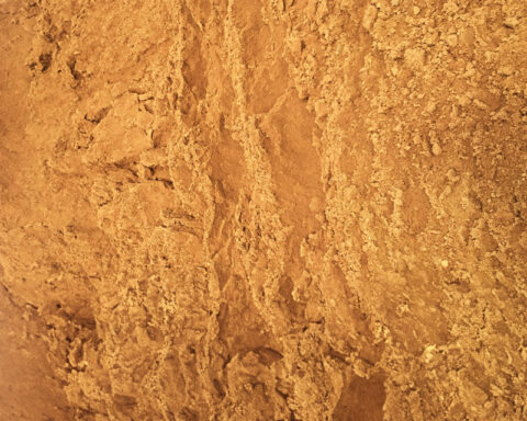 Red Brick Sand - Paragalli Haulage